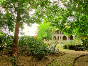 A Guide To Traveling To The Meher Pilgrim Retreat in Meherabad, India ...